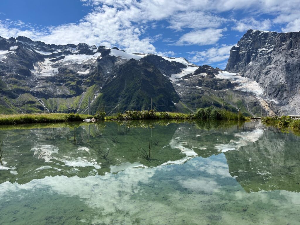 Mud, Poles & Mountain Goats: The Engelberg Trail Race - Keep on running!